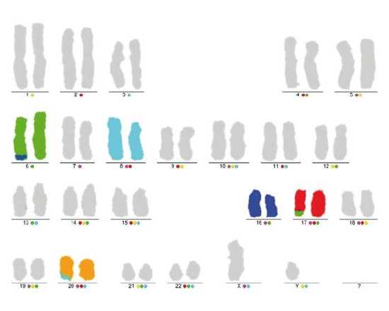 Lucia.cz (Laboratory Imaging s.r.o.)